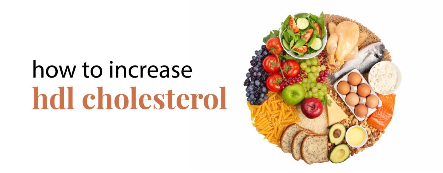 how to increase HDL cholesterol