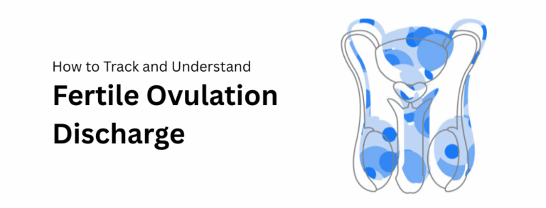 Fertile Ovulation Discharge: How to Track and Understand It