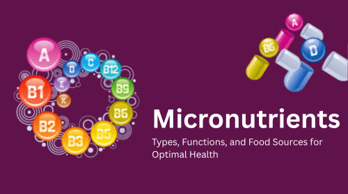 Essential Micronutrients: Types, Functions, and Food Sources for ...