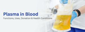 Plasma in Blood: Functions, Uses, Donation & Health Conditions